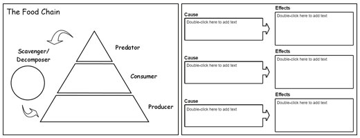 Using Graphic Organizers across Webb's Depth of Knowledge | Creative ...
